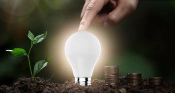 Buy LED lights To Save Energy And The Environment