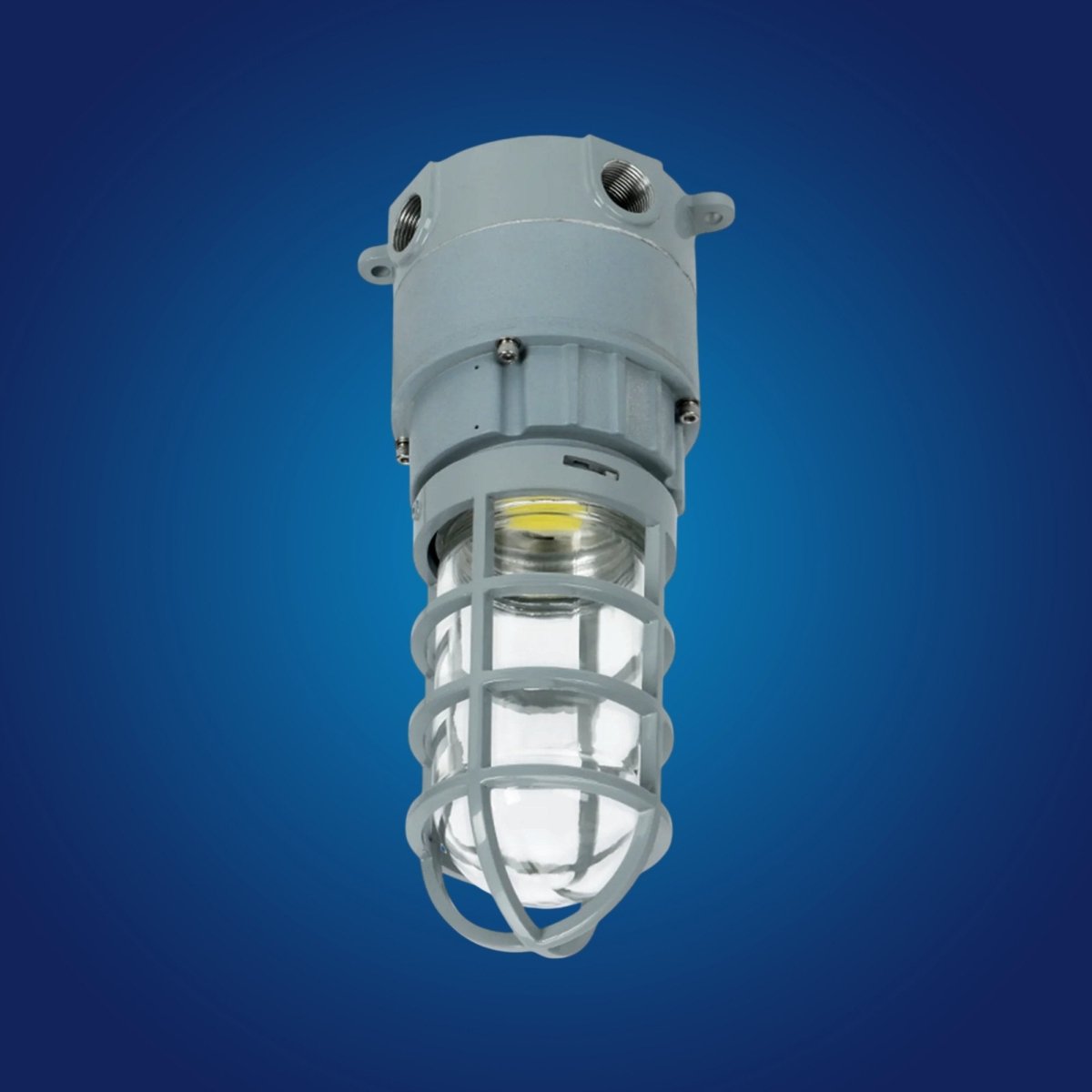 LED Explosion Proof Jelly Jar Lights - LedMyPlace