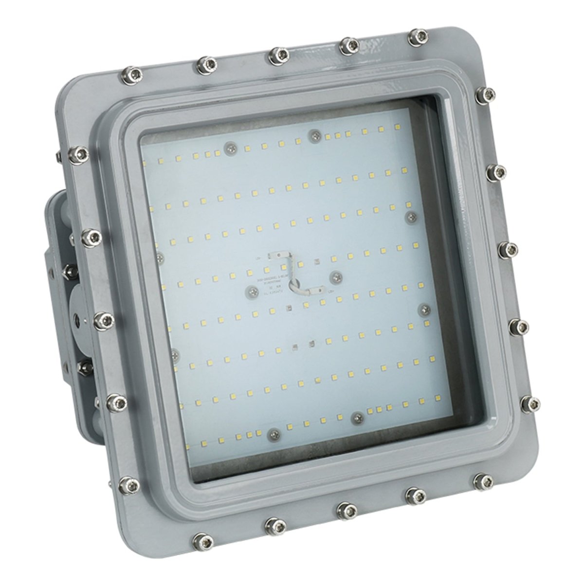 100 Watt LED Explosion Proof Flood Light, D Series, Non Dimmable, 5000