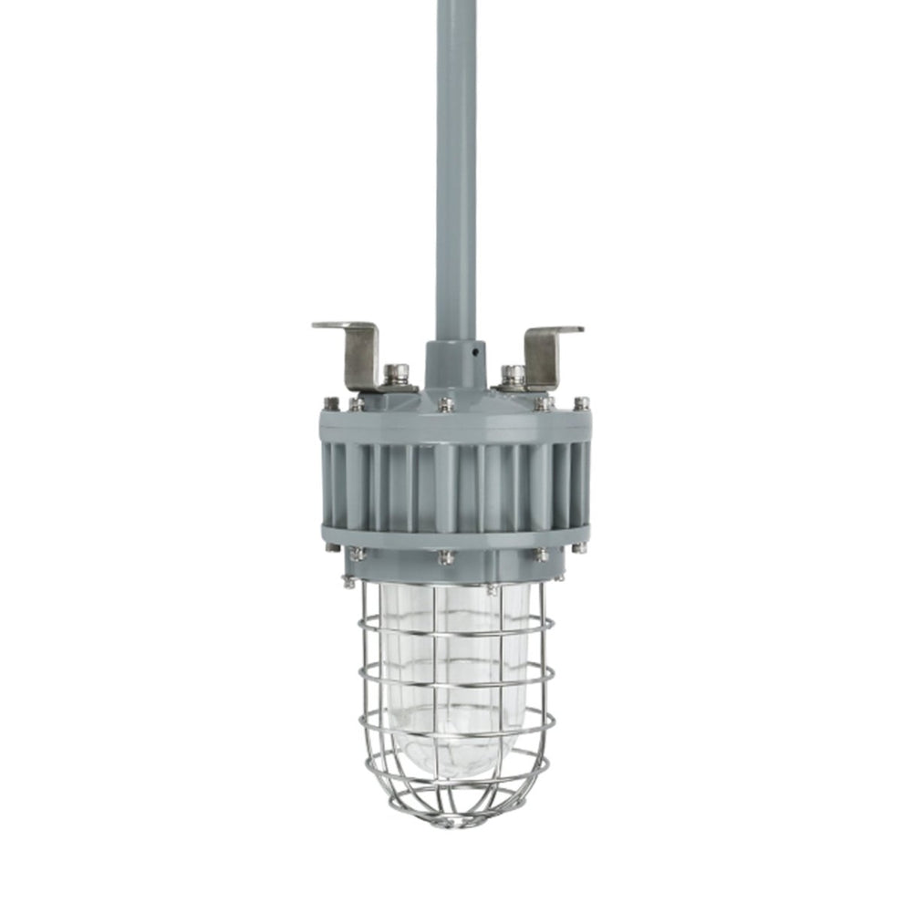 30 Watt LED Explosion Proof Jelly Jar Light, G Series, Dimmable, 5000K